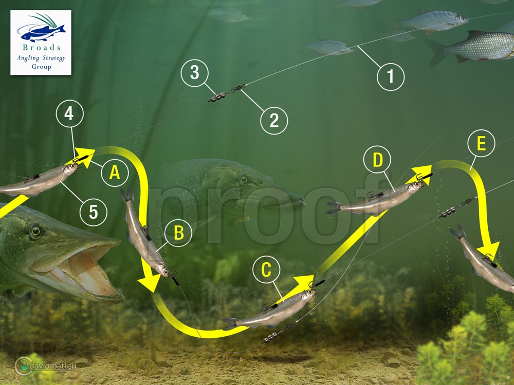 Projects Portfolio | David Batten Design